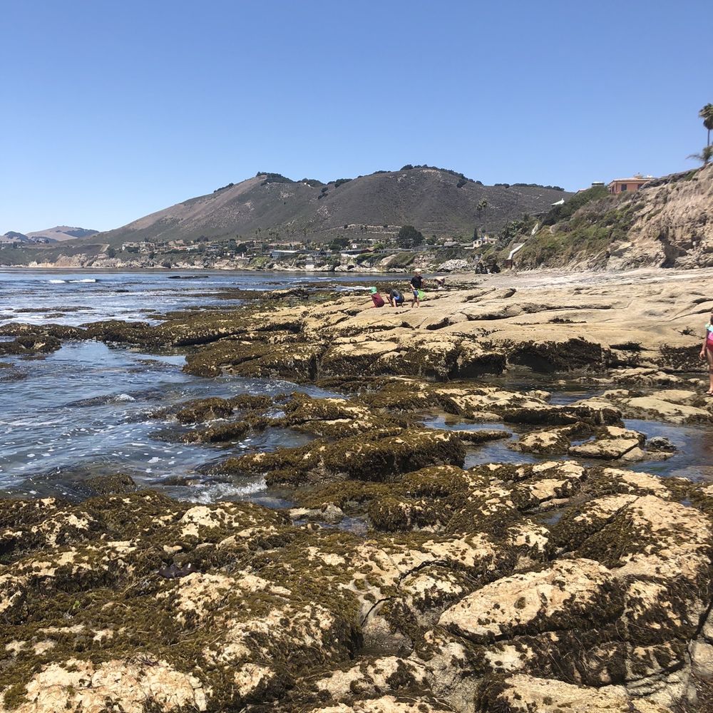 SHELL/PISMO BEACH & SURROUNDING AREAs. - Yelp