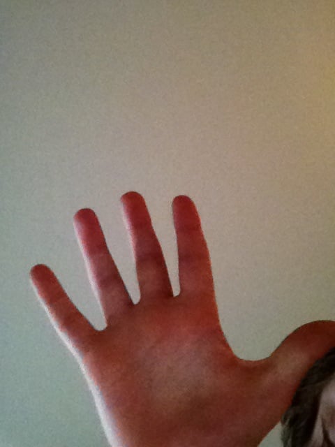 Chatham Chinese Restaurant - Chinese - 15 Dardess Dr, Chatham, NY ...