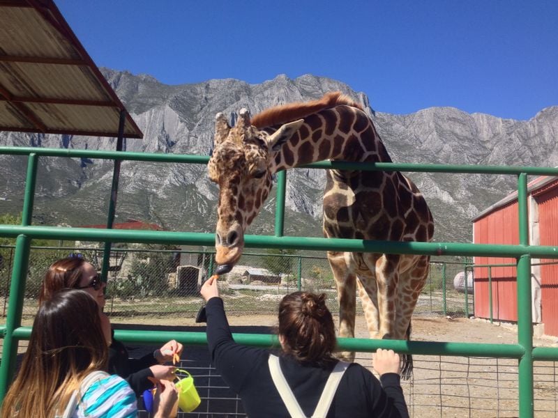 Xenpal - Zoos - Carretera a Villa de García Km 18, Villas del Poniente ...