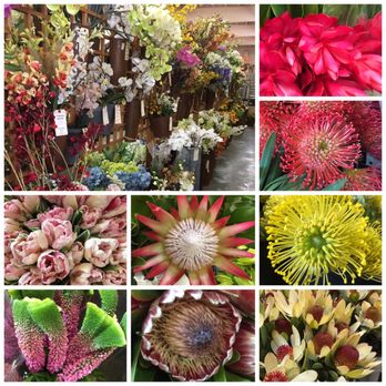 Flower Market 6th Street San Francisco | Best Flower Site