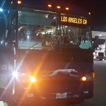 Greyhound Bus Lines - 48 Photos & 156 Reviews - Transportation - 200 ...