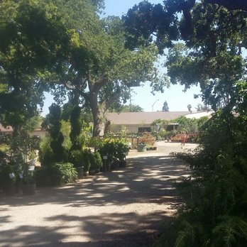 Alden Lane Nursery - 173 Photos & 135 Reviews - Nurseries & Gardening ...