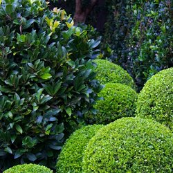 Plant World - 27 Photos - Nurseries & Gardening - 250 El Pueblo Rd NE ...