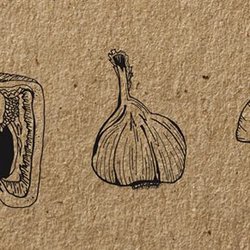 Nobie’s - 48 Photos & 23 Reviews - Wine Bars - 2048 Colquitt St ...