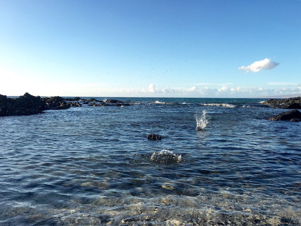 Puako Bay Beach - Beaches - Puako Beach Dr, Puako, HI - Yelp