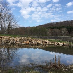 Keystone State Park - 11 Photos & 14 Reviews - Parks - 1150 Keystone ...