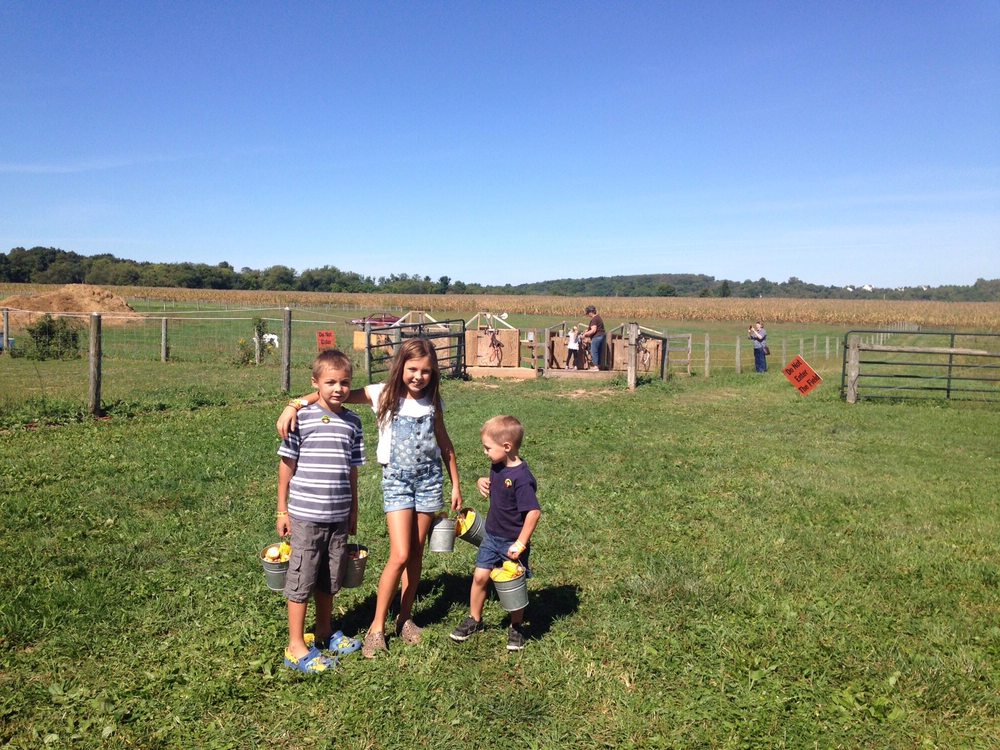 Nickajack Farms - 19 Photos - Farms - 2955 Manchester Ave NW, North ...