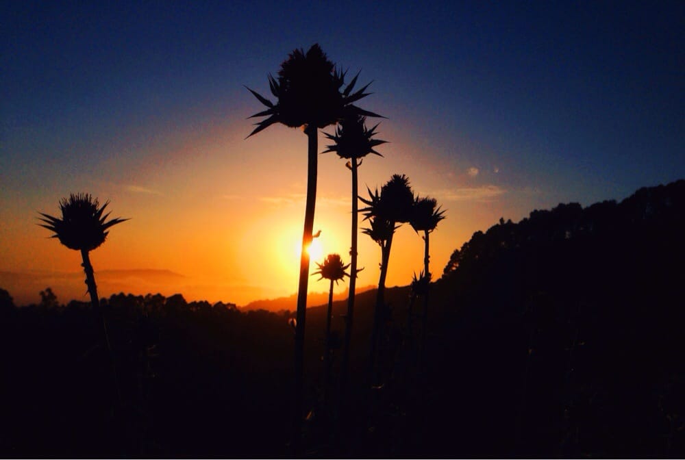 Grizzly Peak - 148 Photos & 94 Reviews - Hiking - Old Fish Ranch Rd ...