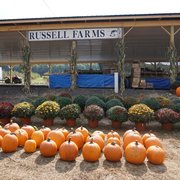 Russell Farms - 14 Photos - Farmers Market - 2850 Hawleyton Tpke ...