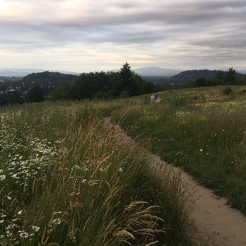 Powell Butte Nature Park - 162 Photos & 45 Reviews - Parks - 16160 SE ...