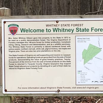 Whitney State Forest - 23 Photos - Parks - Lees Ridge Rd, Warrenton, VA ...
