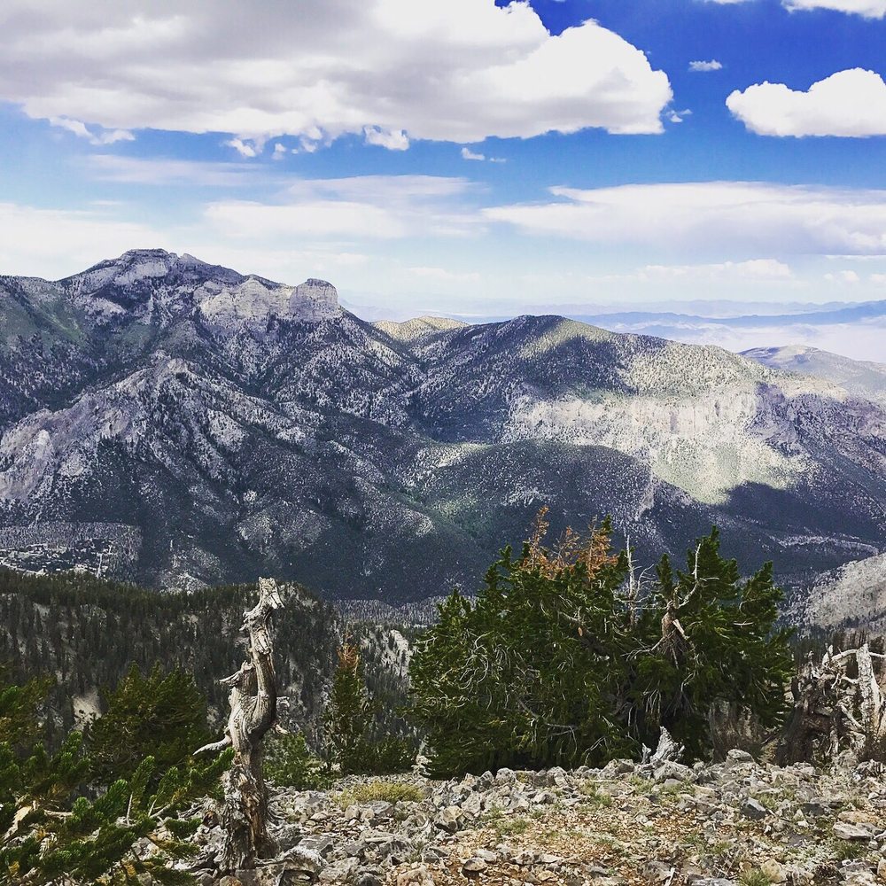 Griffith Peak Trail - 83 Photos - Hiking - 1208 Cathedral Picnic Area ...