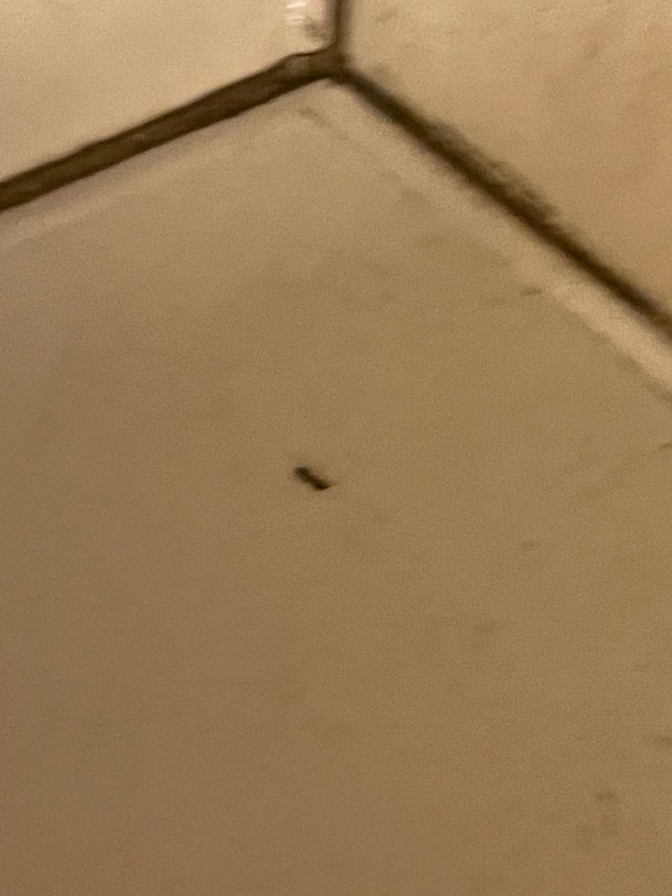 NSWC Dahlgren Naval Base in Dahlgren, VA | MilitaryBases.com