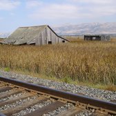 Drawbridge Ghost Town - 53 Photos & 29 Reviews - Local Flavor - Fremont ...