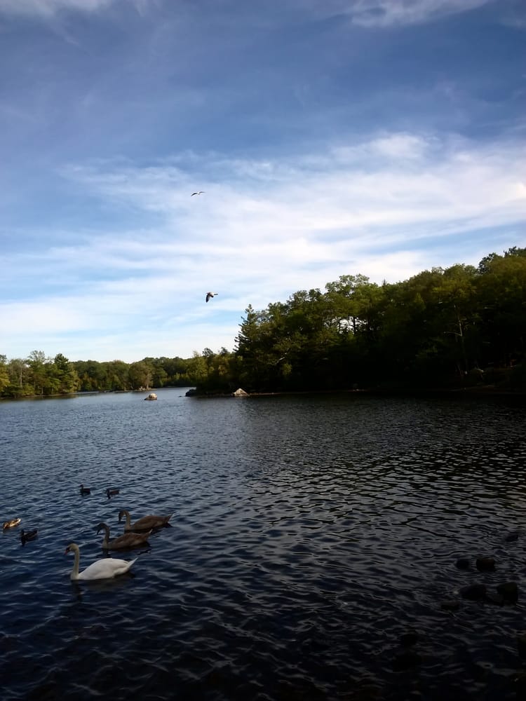 D W Field Park - 2019 All You Need to Know BEFORE You Go (with Photos ...