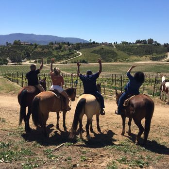 Wine Country Trails by Horseback - 188 Photos & 214 Reviews - Tours ...