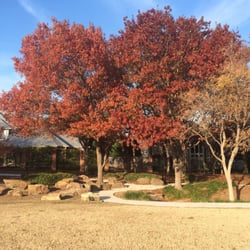 Celestial Park - 11 Photos & 17 Reviews - Parks - 5501 Celestial Rd ...