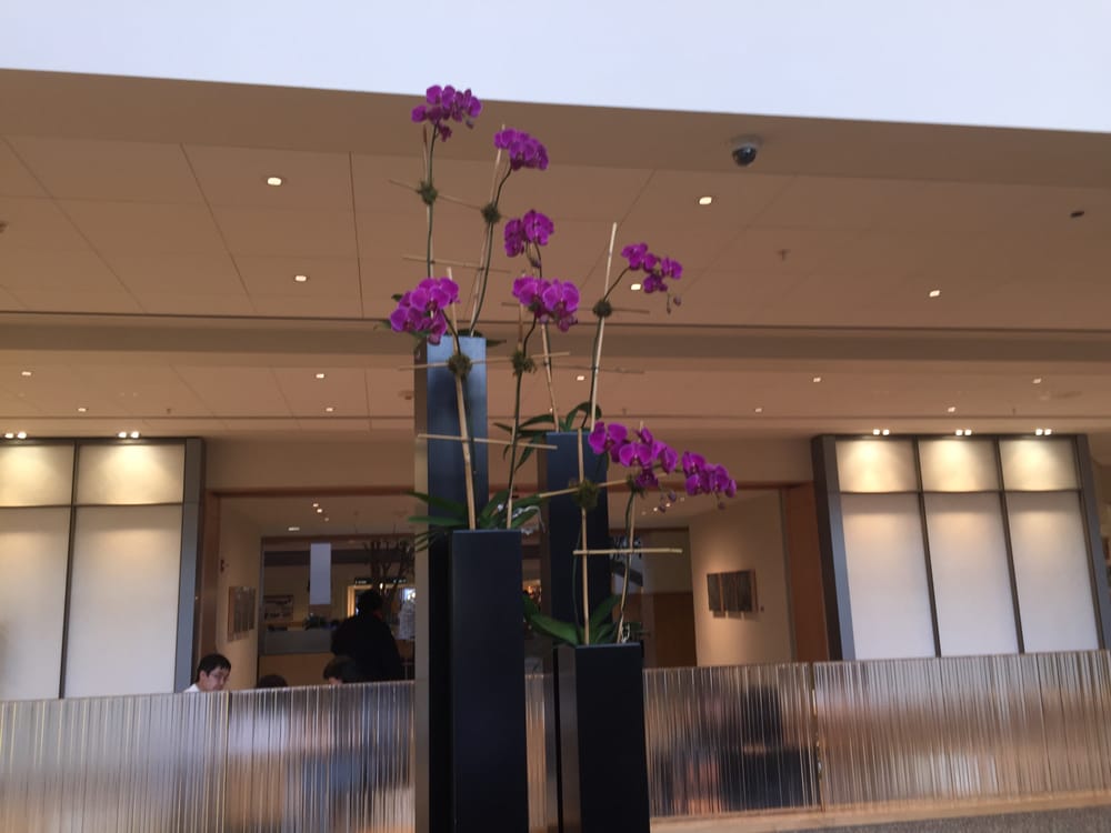 Smilow Cancer Hospital at Yale-New Haven - 18 Photos - Medical Centers ...