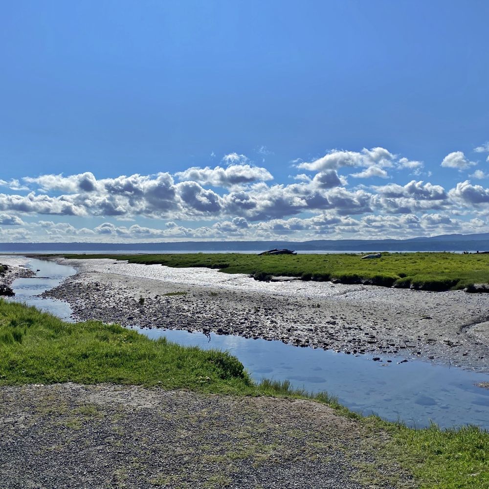 wa state campground reservations