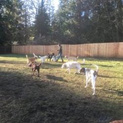 Dog Works Ranch - Pet Sitting - 16214 234th St SE, Monroe, WA - Phone ...