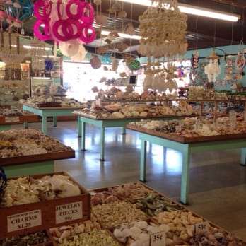 The Shell Shop - 69 Photos & 75 Reviews - Arts & Crafts - 590 ...