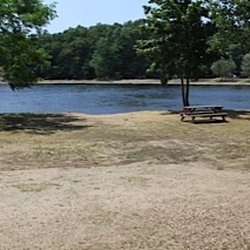 Wolf Lake Resort & Campground - Apartments - 5451 Harding Ave Ofc ...