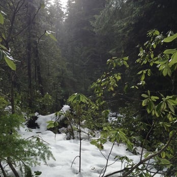 Breitenbush Hot Springs - 113 Photos & 72 Reviews - Health Retreats ...