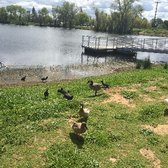 Mather Field Lake Regional Park - 2019 All You Need to Know BEFORE You ...