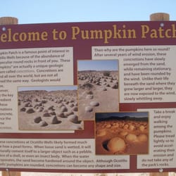 Pumpkin Patch - Local Flavor - Ocotillo Wells, CA - Yelp