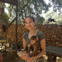 Zoo de Castellar - Zoos - Cerro del Moro, s/n, Castellar de la Frontera ...