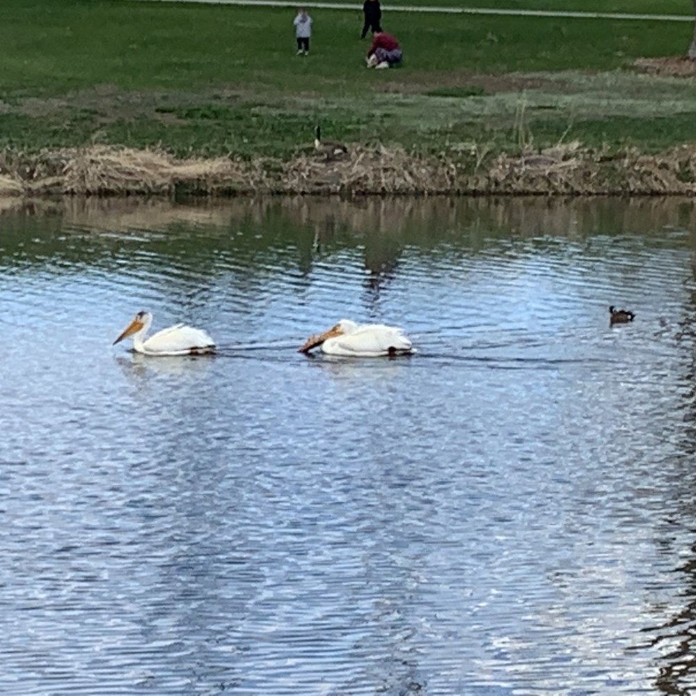 Virginia Vale - Denver, CO - Yelp