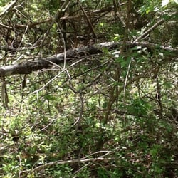 Rush Run Park - Parks - 200 Broadmeadow Blvd, Columbus, OH - Yelp