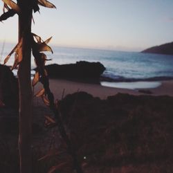 Makua Beach - 80 Photos & 13 Reviews - Beaches - Waianae, HI - Yelp