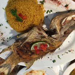 Disco Fish Restaurant & Grill - Order Online - 160 Photos & 88 Reviews ...