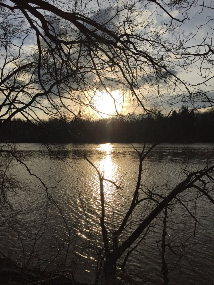 Griggs Reservoir Park - 32 Photos & 18 Reviews - Parks - 2933 Riverside ...