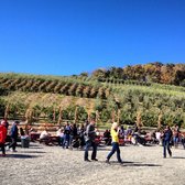 Silverman’s Farm - 68 Photos & 63 Reviews - Farmers Market - 451 Sport ...