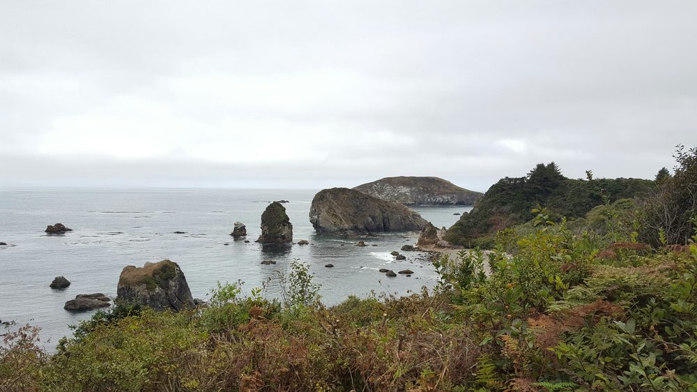 Harris Beach State Park - 134 Photos & 48 Reviews - Parks - Harris ...