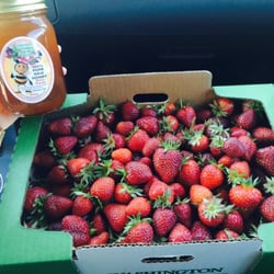 Spooner Berry Farms - 18 Reviews - Farmers Market - 3327 Yelm Hwy ...