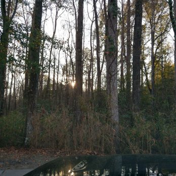 Gods Acre Healing Springs - 30 Photos - Historical Tours - Healing ...