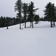 Nashoba Valley Ski Area - 27 Photos & 98 Reviews - Ski Resorts - 79 ...