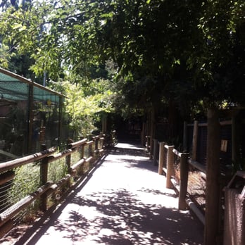 Applegate Park Zoo - 101 Photos & 30 Reviews - Zoos - 1045 W 25th St ...