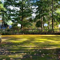 Woodlawn Park - 14 Photos - Parks - 1N1E14BD -11700, Woodlawn, Portland ...