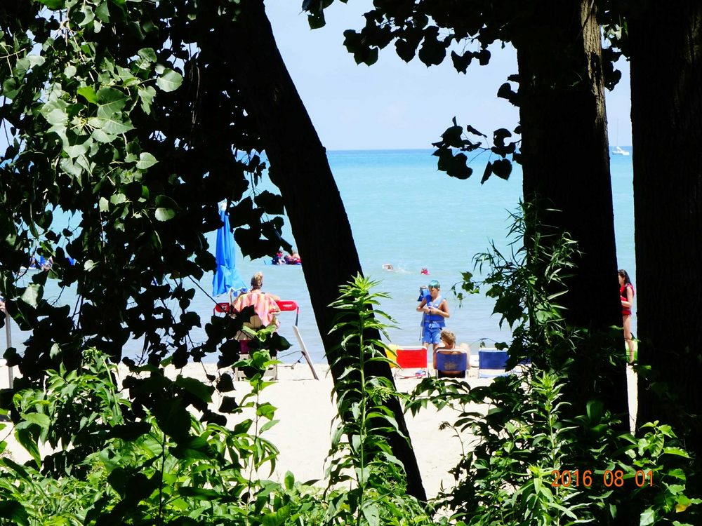 Gillson Park - 112 Photos & 48 Reviews - Parks - 800 Gillson Park Dr ...