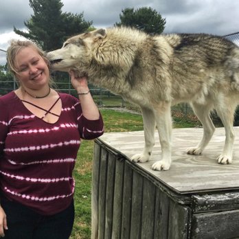 Kisma Preserve - 10 Photos - Zoos - 446 Bar Harbor Rd, Trenton, ME ...