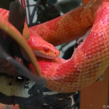 Secret Woods Nature Center - 121 Photos & 33 Reviews - Parks - 2701 W ...