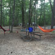 Interlochen State Park - 18 Photos - Parks - M- 137, Interlochen, MI ...