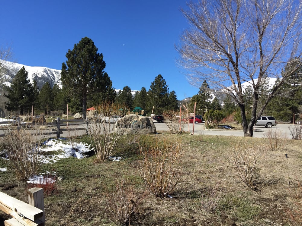 Mammoth Creek Park - Parks - Mammoth Lakes, CA - Yelp