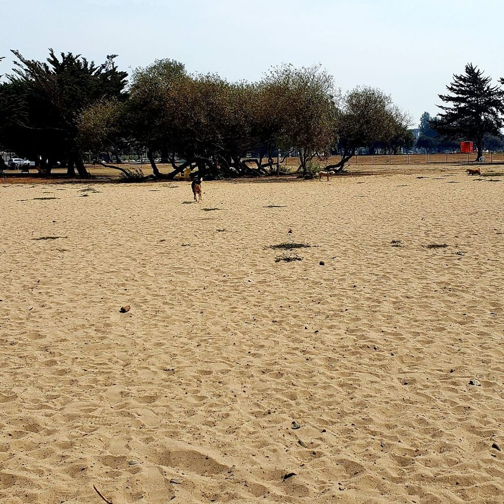 The Places I Go Out - Yelp