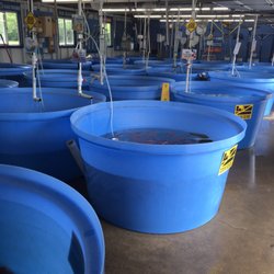 Jones Fish Hatchery & Pond Stocking - 16 Photos - Local Fish Stores ...
