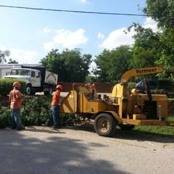 Affordable Tree Care - 36 Photos & 17 Reviews - Tree Services - 13904 ...